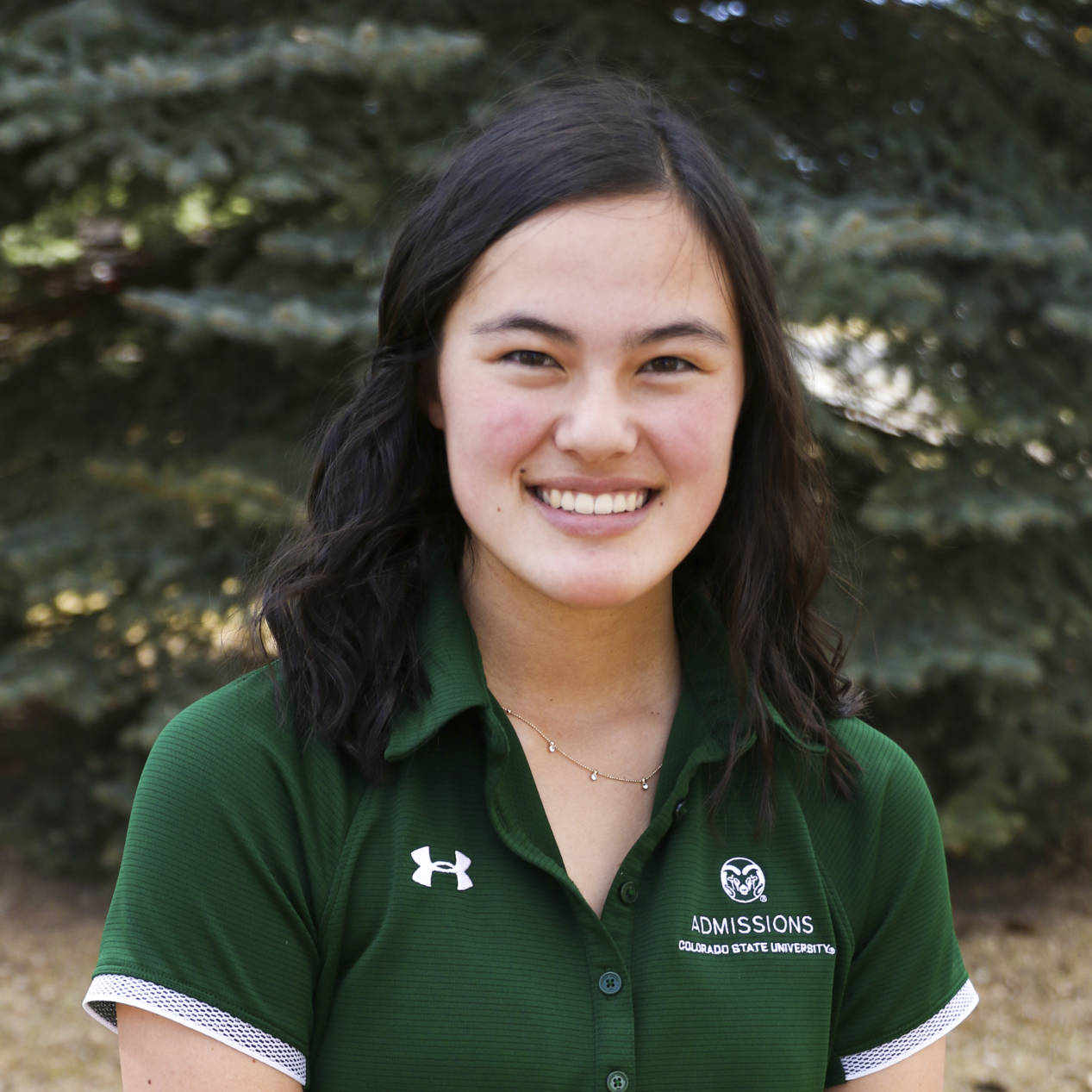 The introvert's guide to class participation | Admissions | Colorado ...